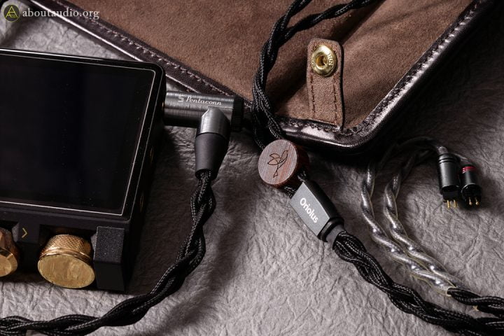 Oriolus Traillii Titanium Review: The Irresistible Charm - About Audio ...